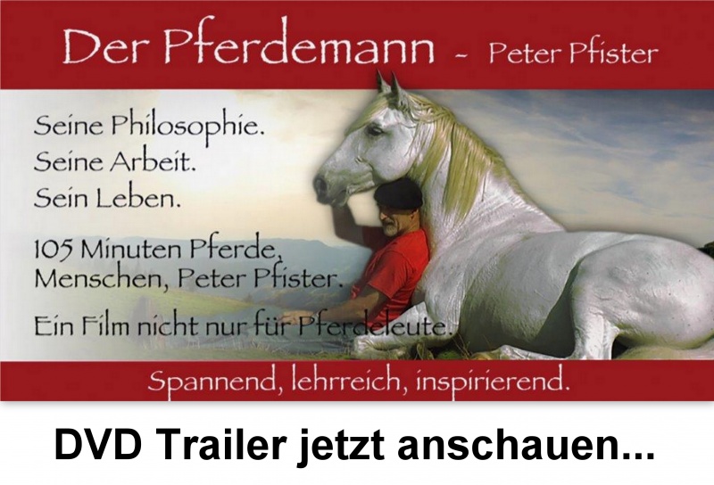 Peter Pfister & Schade - Natürliche Partnerschaft mit Pferden - Home