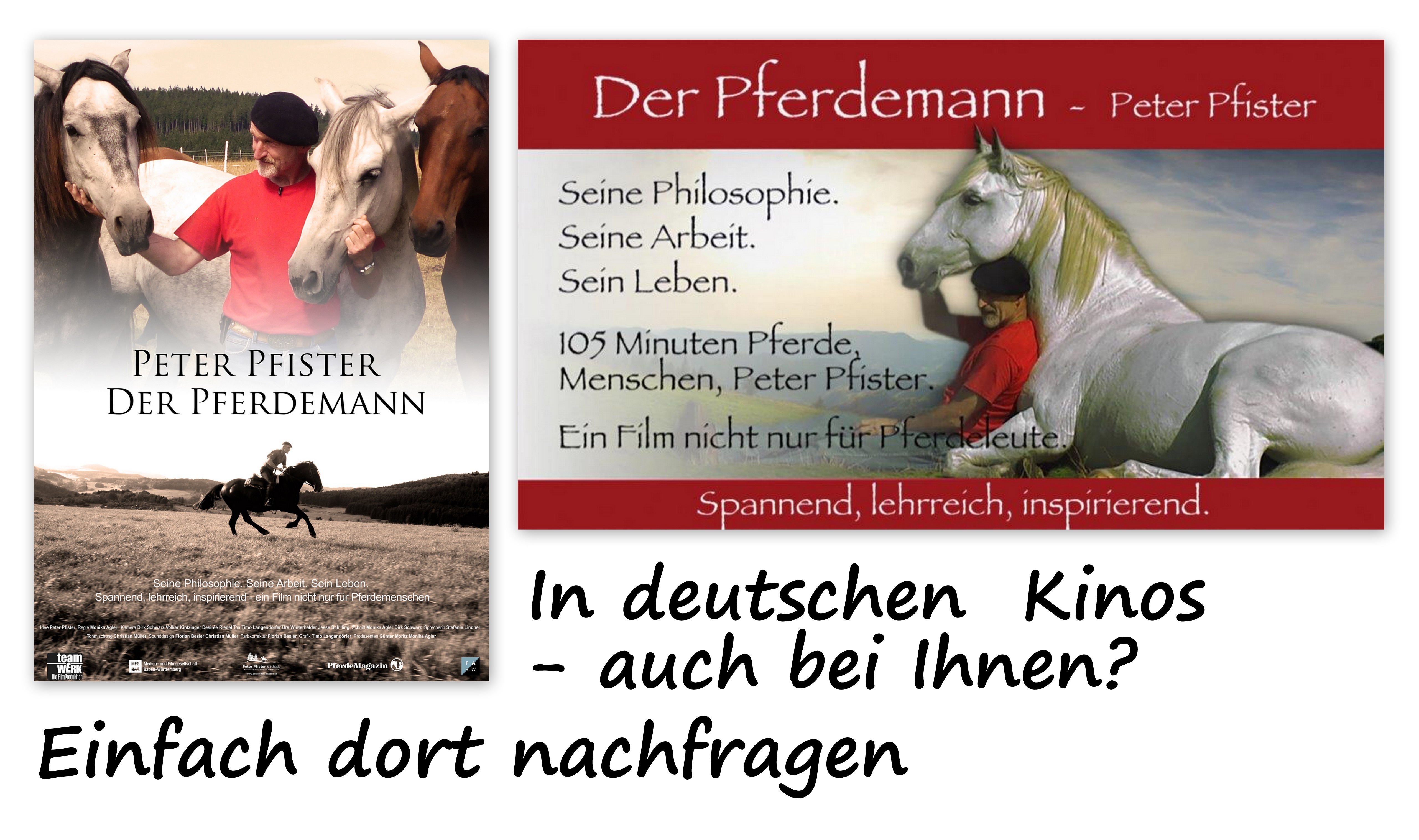 Peter Pfister & Schade - Natürliche Partnerschaft mit Pferden - Home